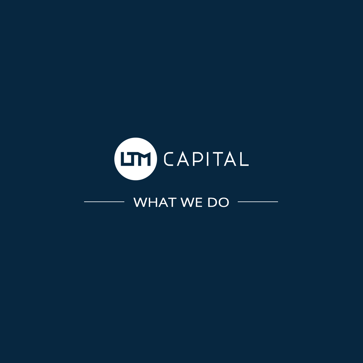 What we do | LTM Capital | Investment fund